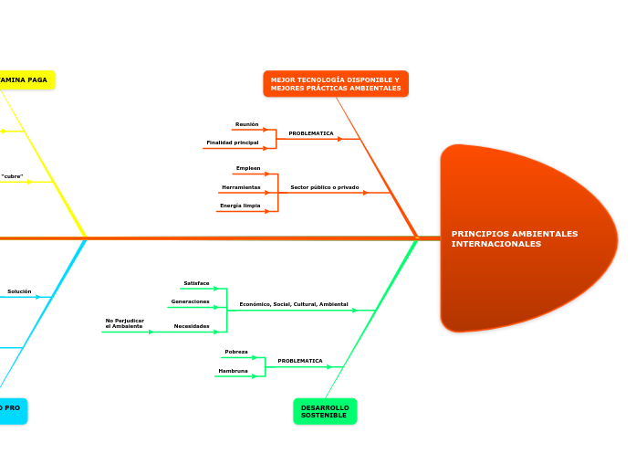 PRINCIPIOS AMBIENTALES INTERNACIONALES - Mind Map